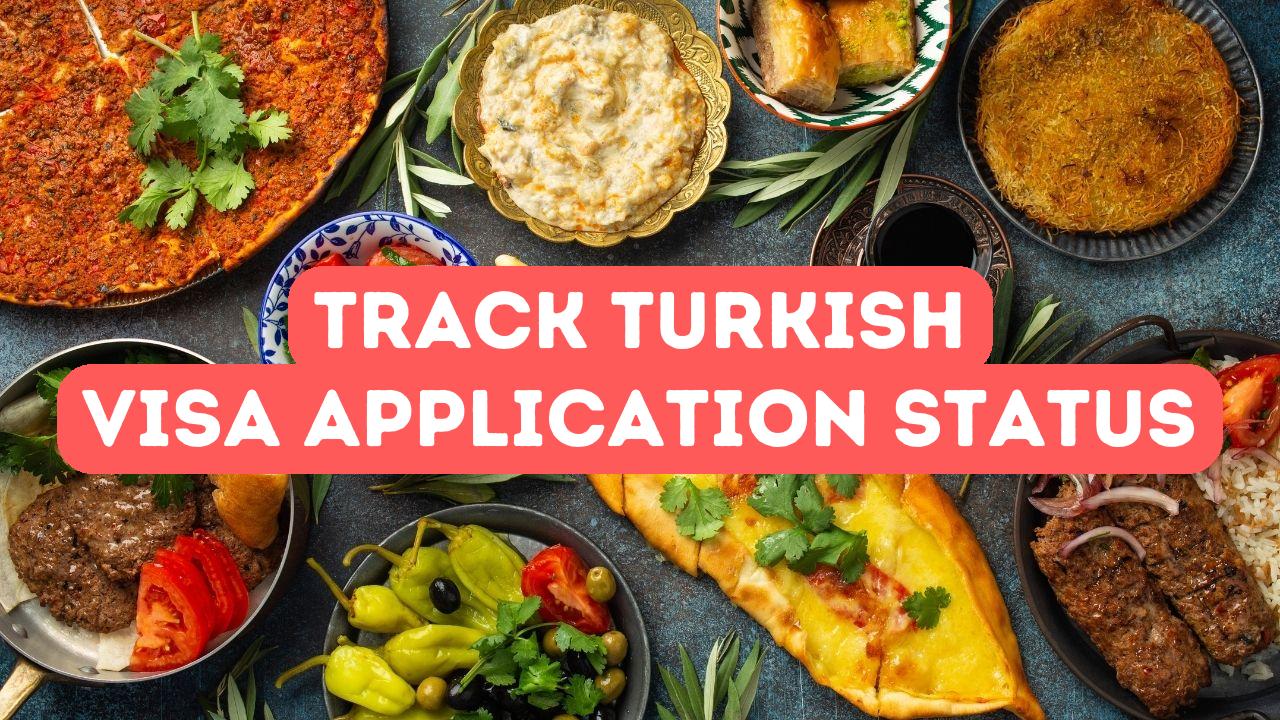 How to Track Your Visa Application Status - Turkish Language Course